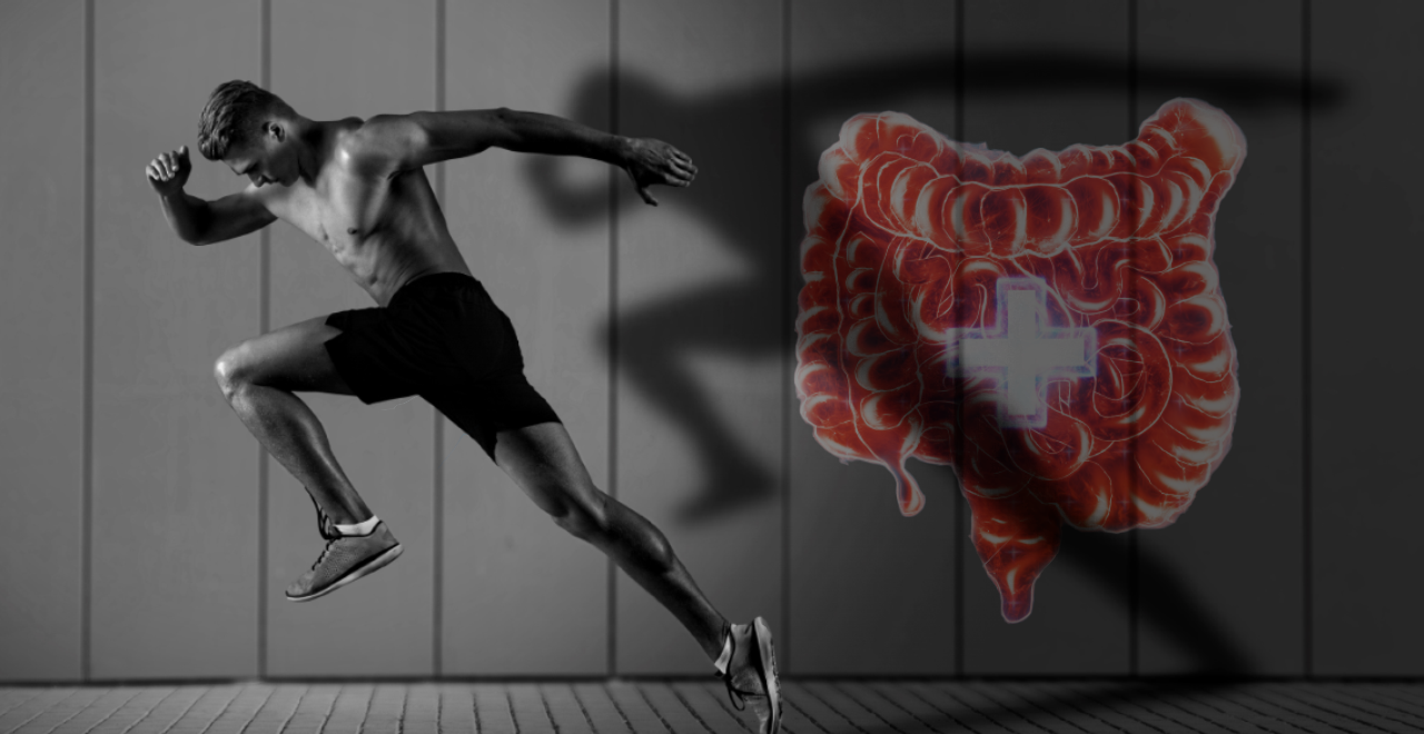 Exploring the Connection Between Gut Health and Athletic Performance ...